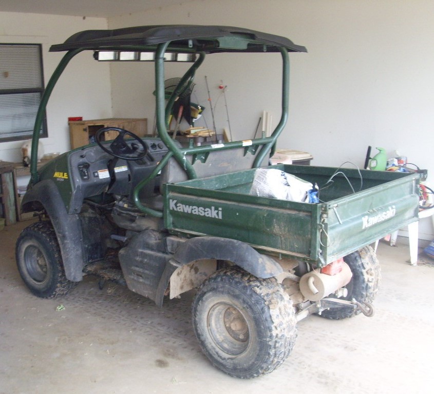 When a Mule Isn’t a Mule… – Janalyn Knight Author